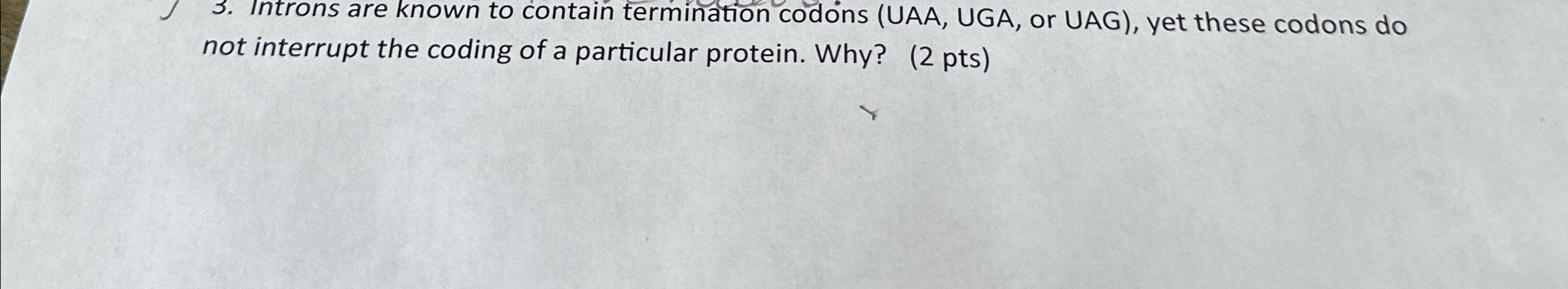 Solved Introns are known to contain termination codons (UAA, | Chegg.com