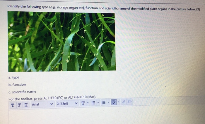 Solved Identify the following type (e.g. storage organ etc), | Chegg.com