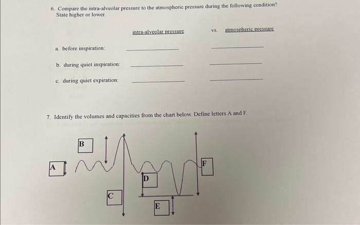 Solved 6. Compare the intra-alveolar pressure to the | Chegg.com