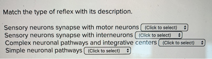 Solved Match the type of reflex with its description. | Chegg.com