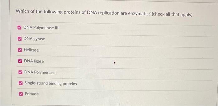 Solved Which of the following proteins of DNA replication | Chegg.com