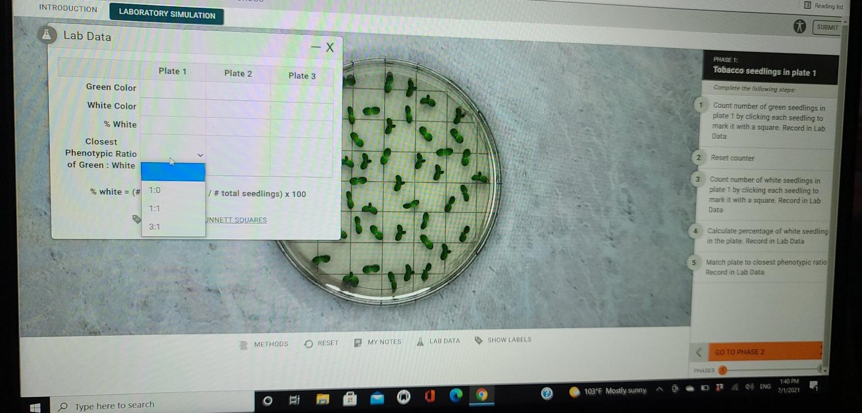 MENDELIAN GENETICS. MONOHYBRID PLANT CROSS 2 Reading | Chegg.com