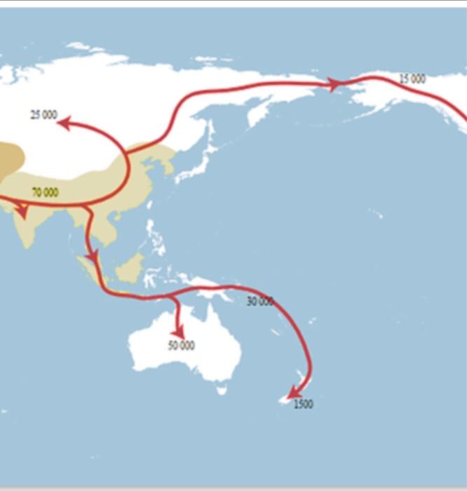 Humans spread out of Africa and across the rest of | Chegg.com