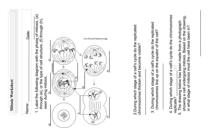 Solved 1. Label the following diagram with the phase of | Chegg.com