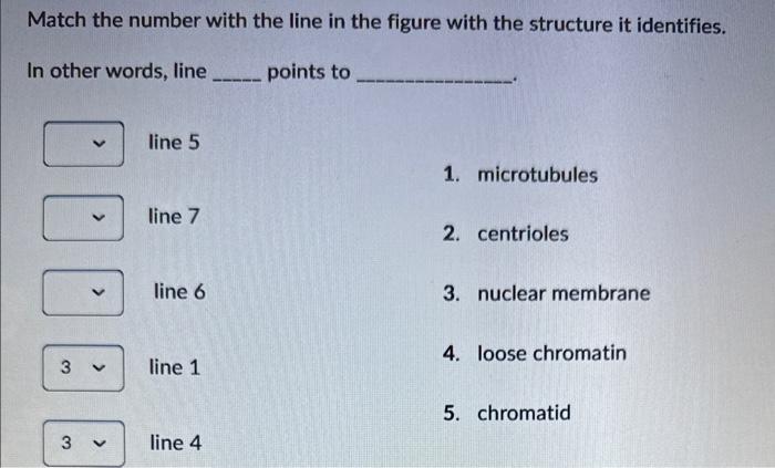 Solved Match the number with the line in the figure with | Chegg.com