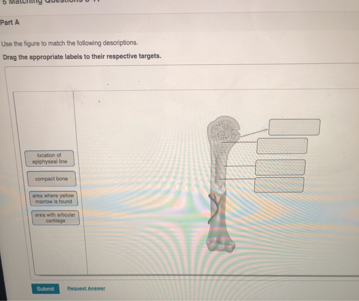 Solved - Part A Drag the appropriate labels to their | Chegg.com
