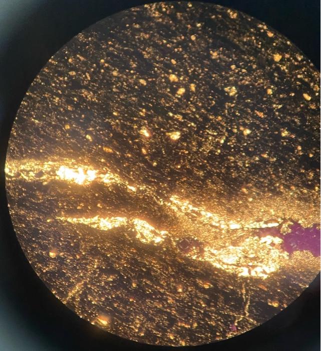 Solved prepare a detail thin section report on shale thin | Chegg.com