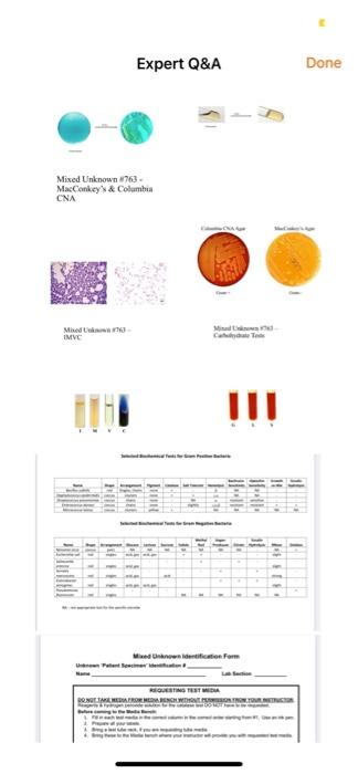 Solved Mixed Unknown Identification Form Unknown 'Patient | Chegg.com