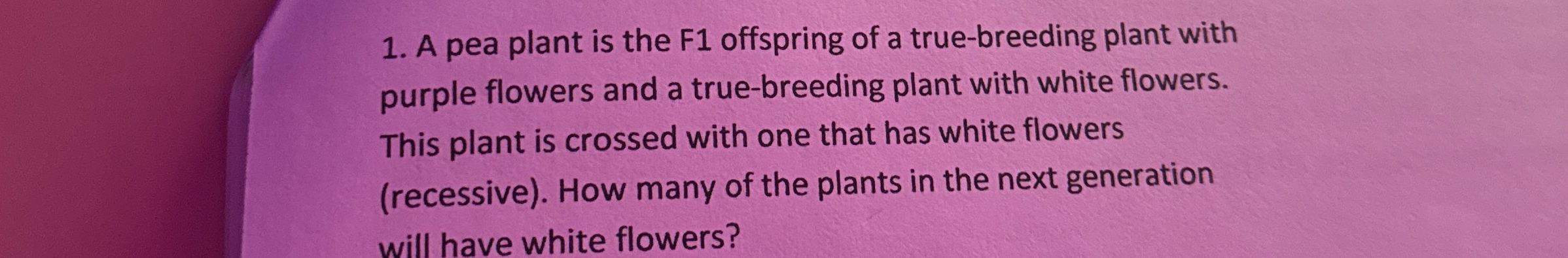 Solved A pea plant is the F1 ﻿offspring of a true-breeding | Chegg.com