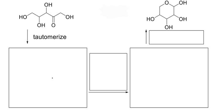Solved он 애 애 НО он но оно ОН tautomerize | Chegg.com
