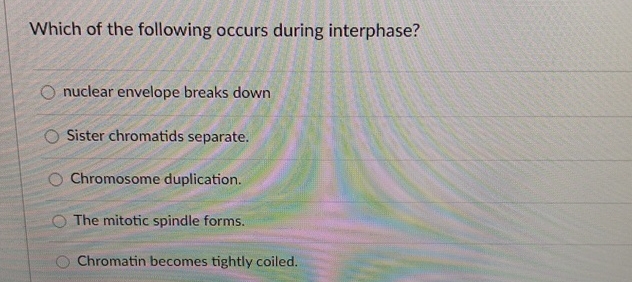 Solved Which of the following occurs during | Chegg.com