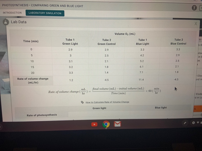 Solved Calculate Rate Of Photosynthesis For Elodea In Green Chegg