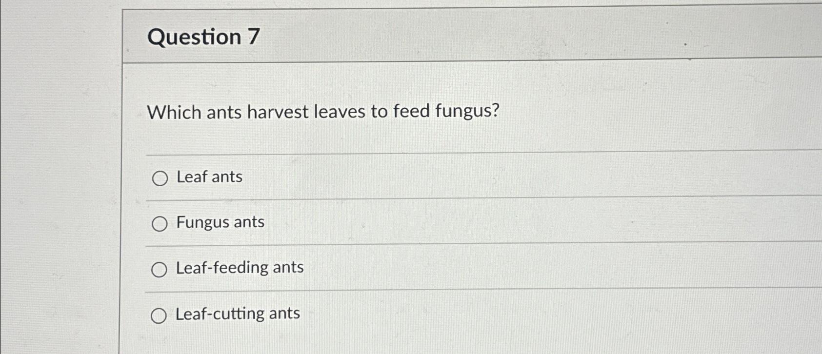 Solved Question 7Which ants harvest leaves to feed | Chegg.com
