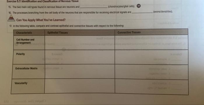 Solved 3. Match the function listed in column A with the | Chegg.com
