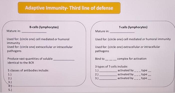 Solved Innate Immunity First line of defense Second line of | Chegg.com