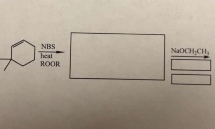Solved heat NBS ROOR | Chegg.com