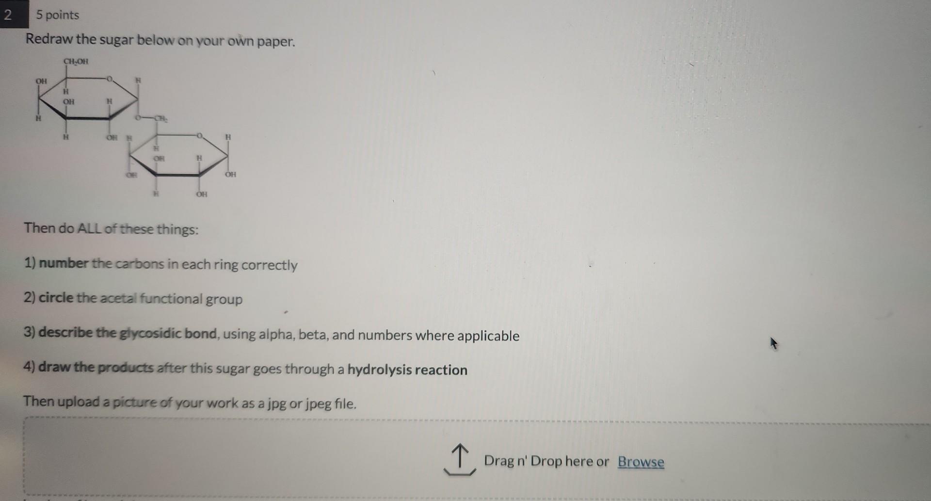 Solved Redraw the sugar below on your own paper. | Chegg.com