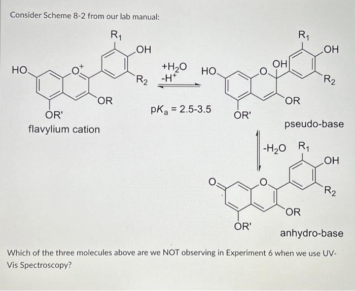 Consider Scheme 8-2 from our lab manual: flavylium | Chegg.com