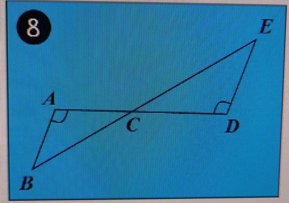 Solved SIMILAR TRIANGLES Sorting Activity! 8 E B SIMILAR | Chegg.com