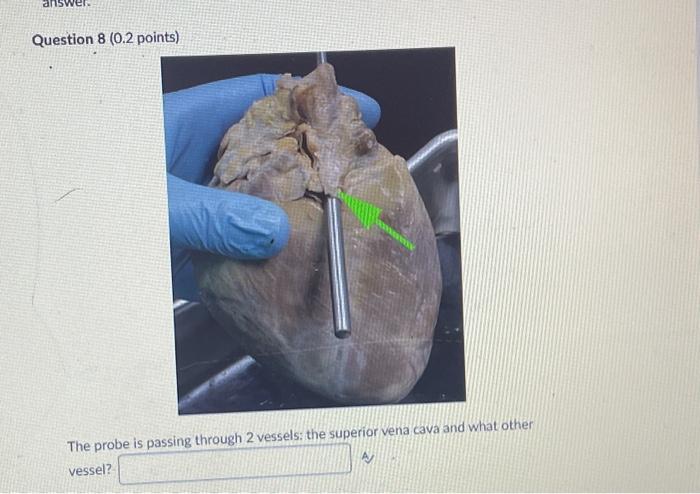 Solved Question 8 ( 0.2 points) The probo is nassing through | Chegg.com
