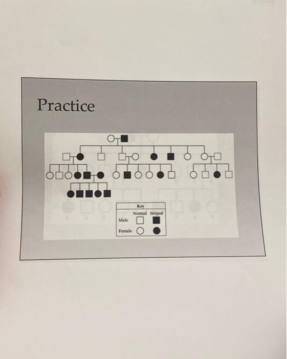 Practice | Chegg.com