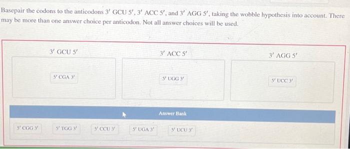 Solved Basepair the codons to the anticodons | Chegg.com