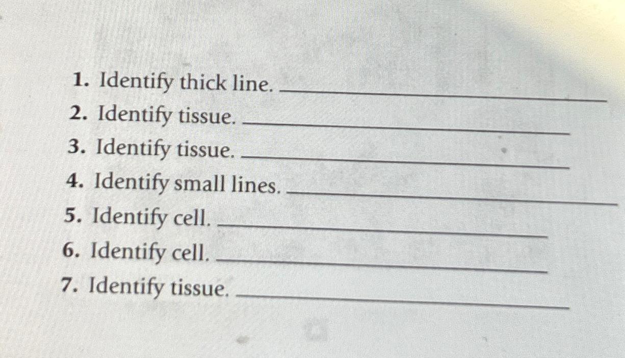 Solved Identify thick linIdentify tissue.Identify | Chegg.com
