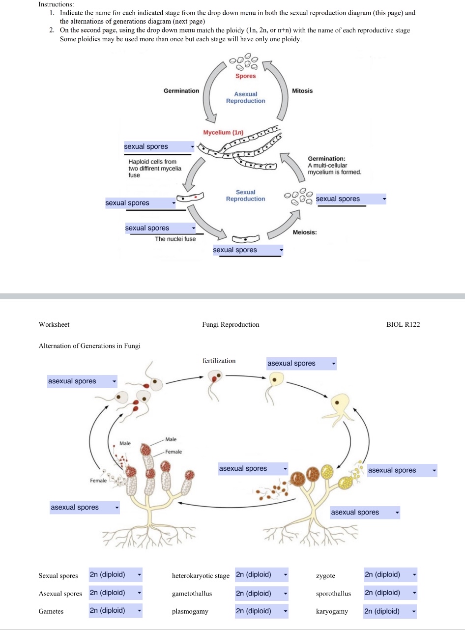 Solved Instructions:Indicate the name for each indicated | Chegg.com