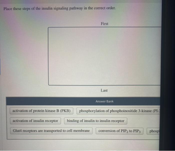 Solved Place these steps of the insulin signaling pathway in | Chegg.com