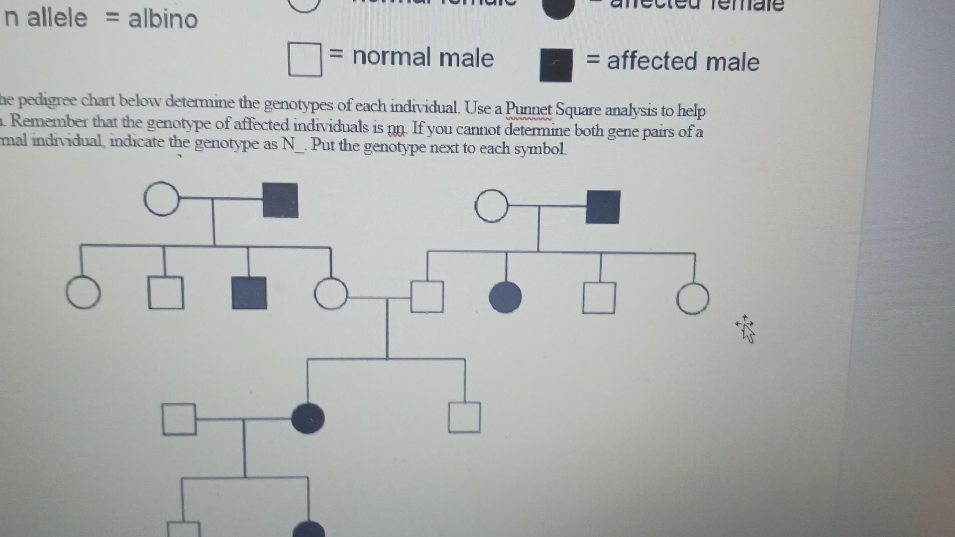 pedigree chart below determine the genotypes of each | Chegg.com
