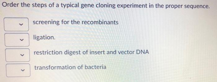 Solved Order the steps of a typical gene cloning experiment | Chegg.com