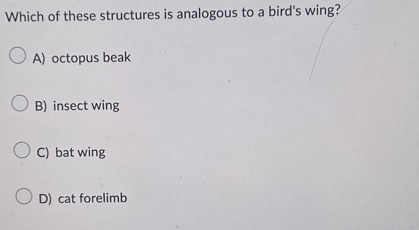 Solved Which of these structures is analogous to a bird's | Chegg.com