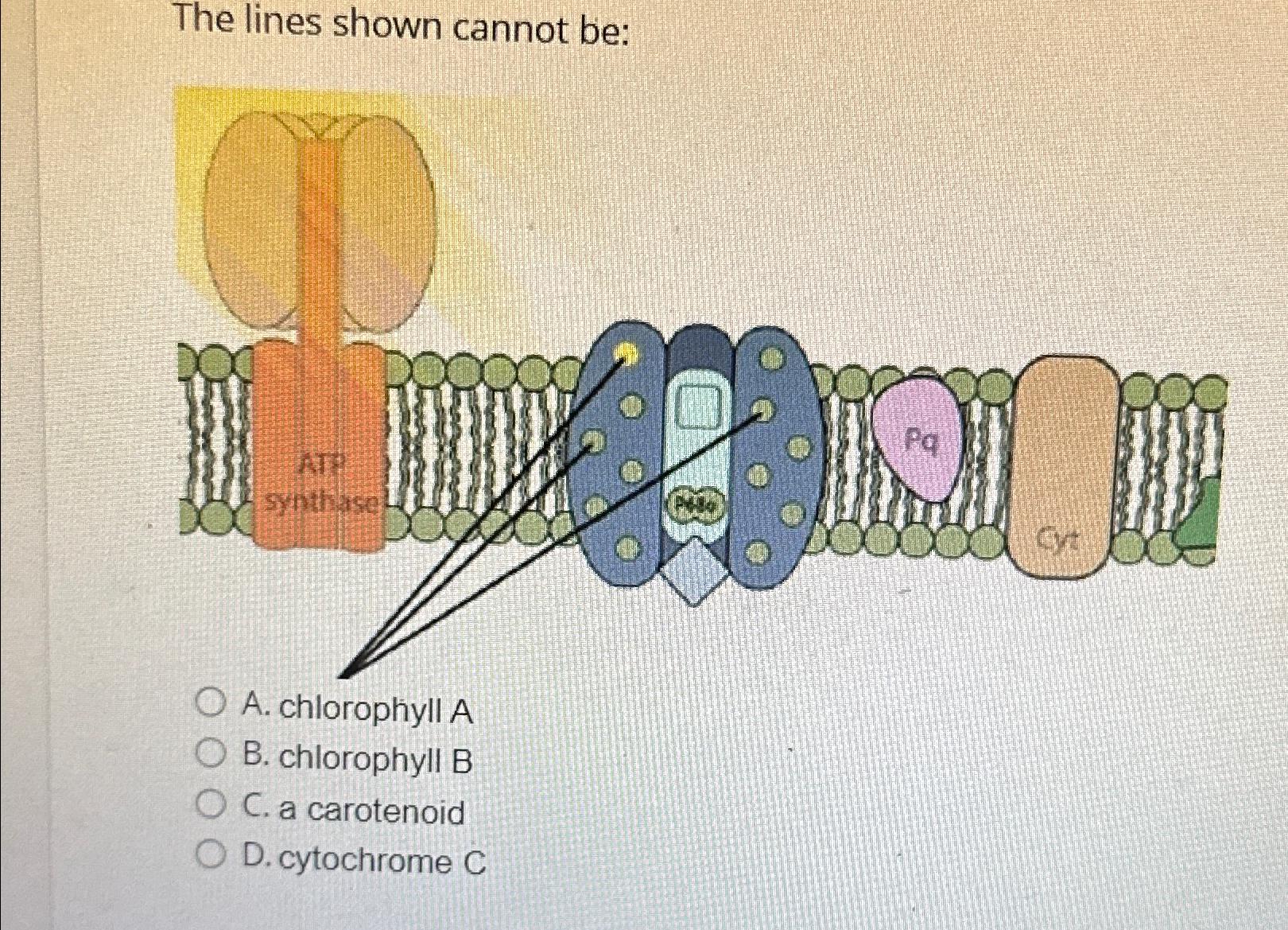 Solved The lines shown cannot be:A. ﻿chlorophyll AB. | Chegg.com