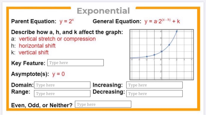 Solved Exponential Parent Equation: y = 2% General Equation: | Chegg.com