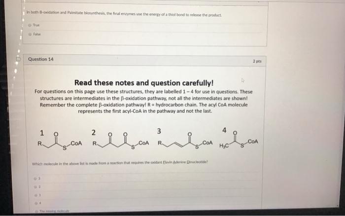 Solved in both caldation and Palmitate biosynthesis, the | Chegg.com