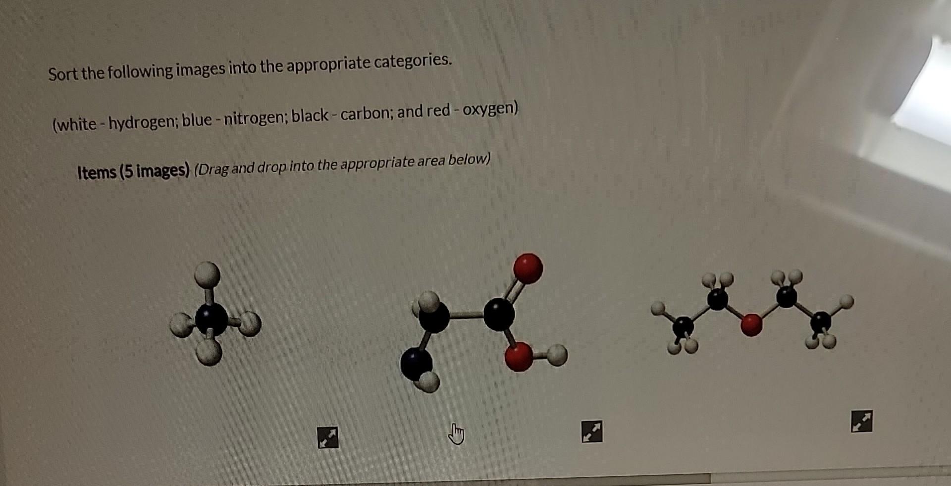 Solved Sort the following images into the appropriate | Chegg.com