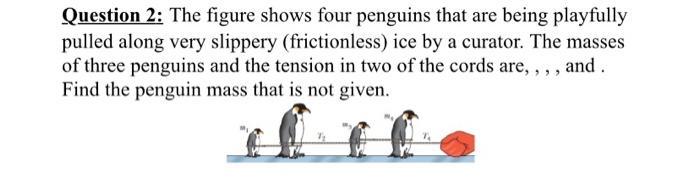 Solved Question 2: The figure shows four penguins that are | Chegg.com