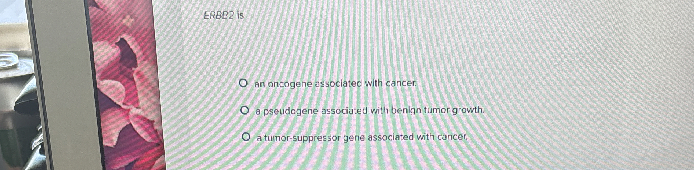 Solved ERBB2 isan oncogene associated with cancer.a | Chegg.com Solved ERBB2 isan oncogene associated with cancer.a | Chegg.com