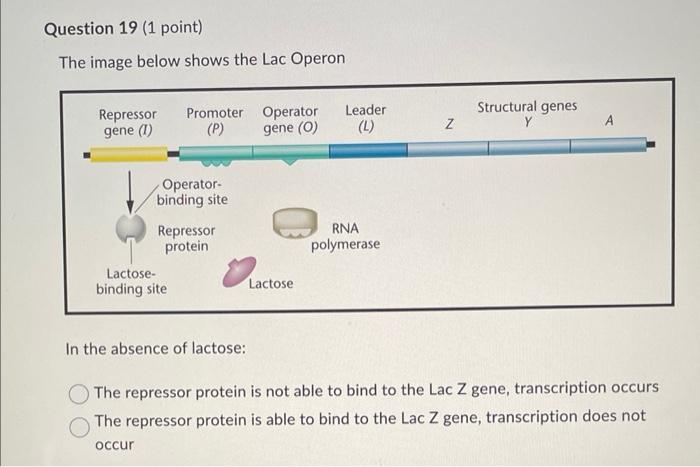 Solved Dr Knickerbocker counted the number of peas in 6 | Chegg.com