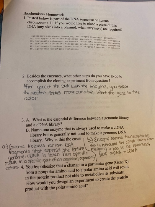 Solved Biochemistry Homework 1. Pasted below is part of the | Chegg.com