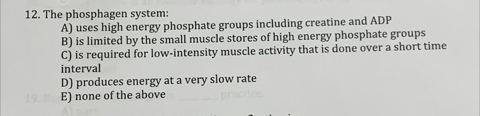 Solved The phosphagen system:A) ﻿uses high energy phosphate | Chegg.com