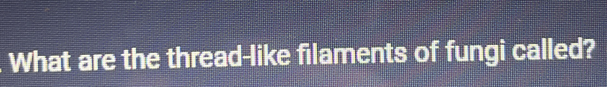 Solved What are the thread like filaments of fungi called? | Chegg.com