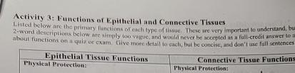 Solved Activity 3: Functions of Epithelial and Connective | Chegg.com