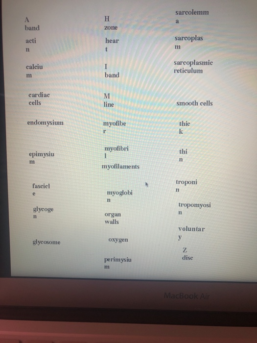 Solved complete the muscle concept map and place the | Chegg.com