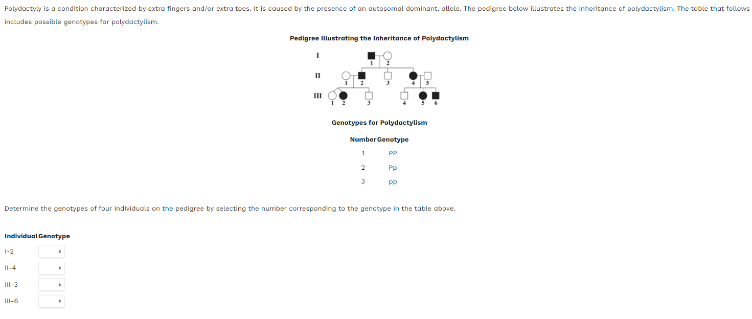 Solved includes possible genotypes for | Chegg.com
