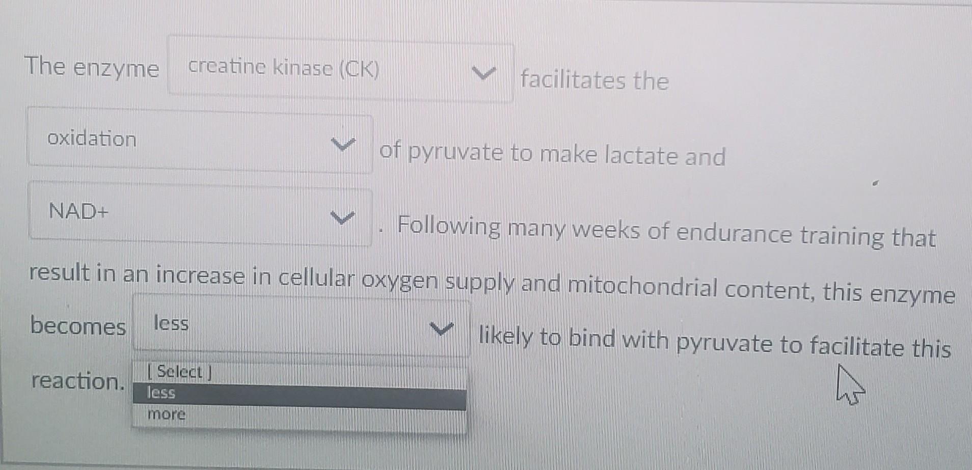Solved The enzyme creatine kinase (CK) facilitates the | Chegg.com