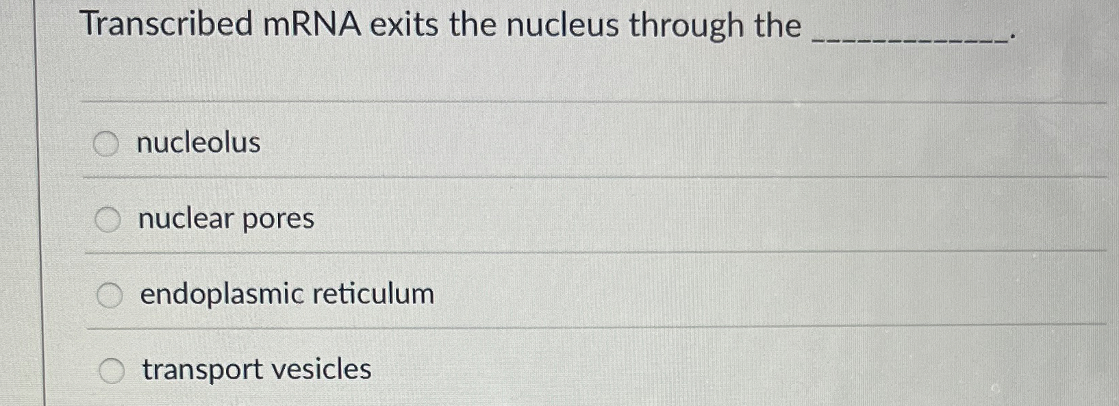 Solved Transcribed mRNA exits the nucleus through | Chegg.com