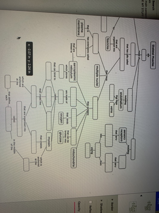 Solved Paragraph Skeletal Muscles Complete the Concept Map | Chegg.com