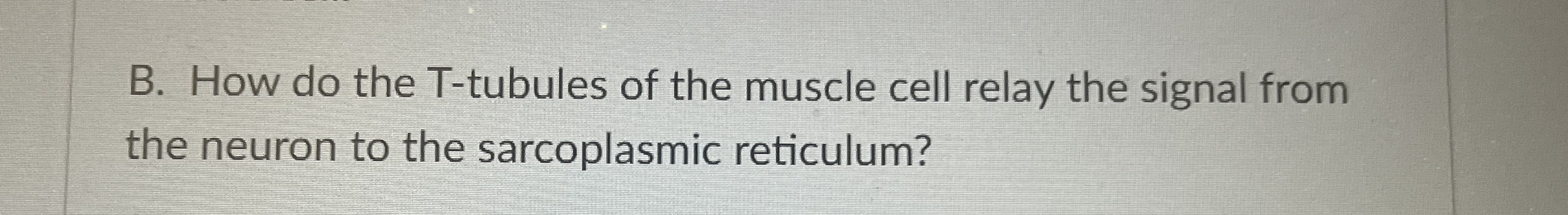 Solved B. ﻿How do the T-tubules of the muscle cell relay the | Chegg.com