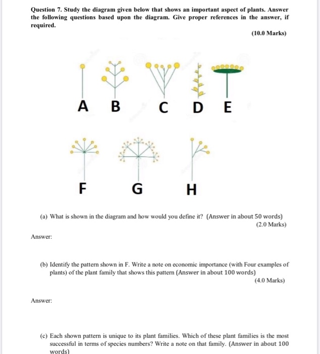 Solved Question 7. Study the diagram given below that shows | Chegg.com